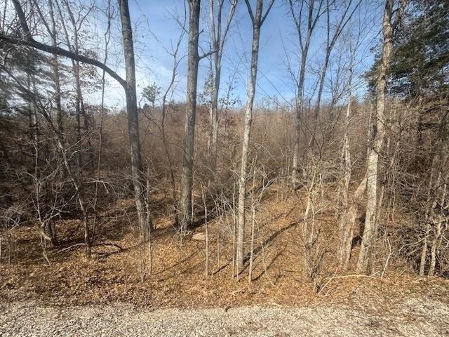 Tract 3 Highway 128, Clifton, TN 38425