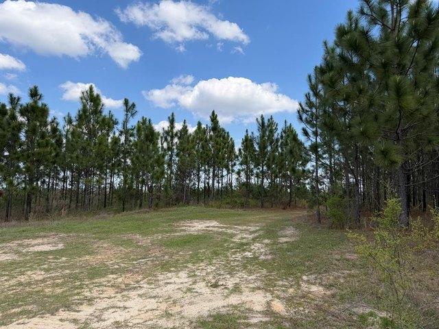 Tract 3 Highway 30, Clayton, AL 36027
