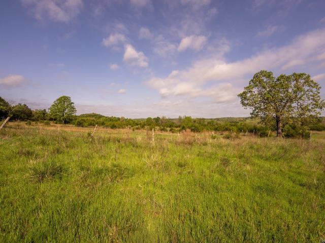 Tract 3 Little Woods Road