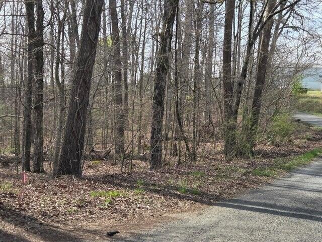 Tract 3 Lowery Rd, Ocoee, TN 37361