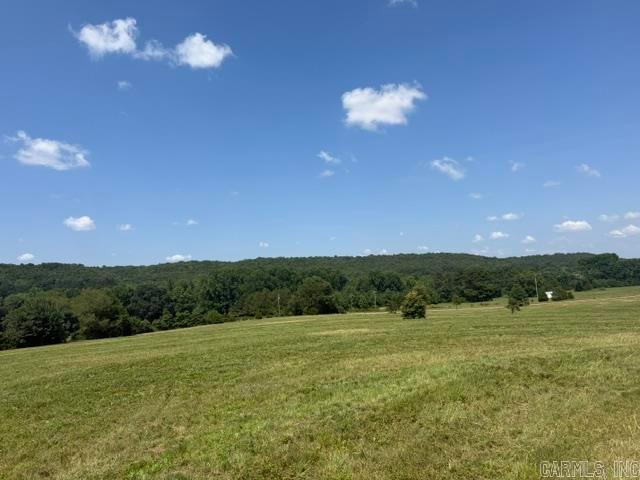 Tract 3 Louie Pruitt Rd