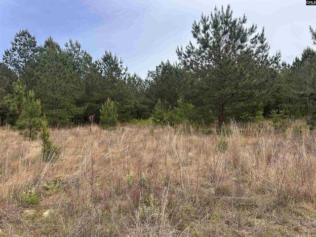 Tract 3 Patrick Hwy, Hartsville, SC 29550