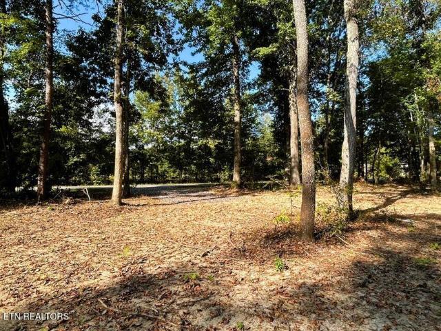 Tract 3 Pleasant Hill