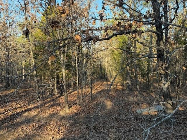 Tract 3 Rural Atoka