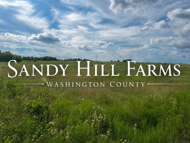 Tract 3 Randermann Rd, Brenham, TX 77833