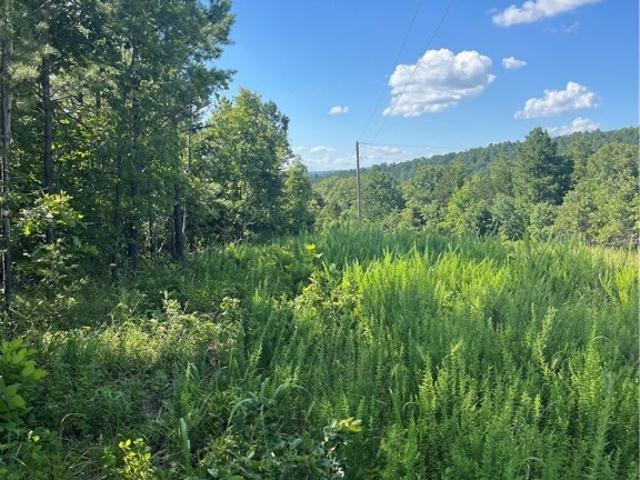 Tract 3 SE 1083 Rd Ave Road