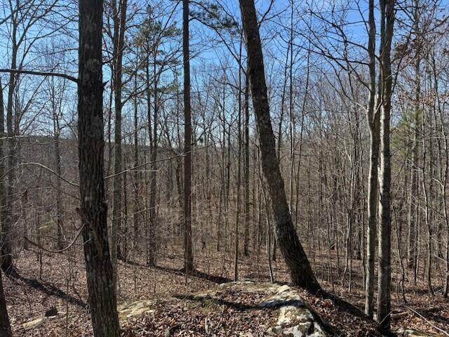 Tract 3 South Pittsburg Mountain