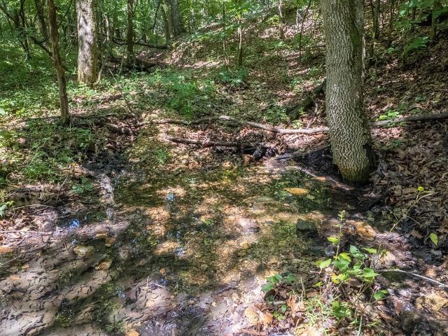 Tract 3 Upper Janes Creek Road