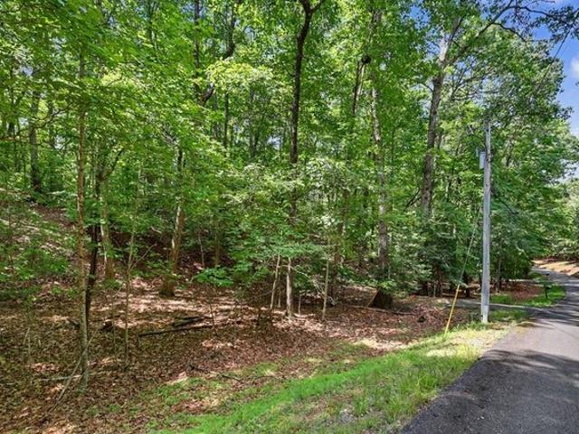 Tract 3 Wilmar Cir Lot TRACT3, Blairsville, GA 30512