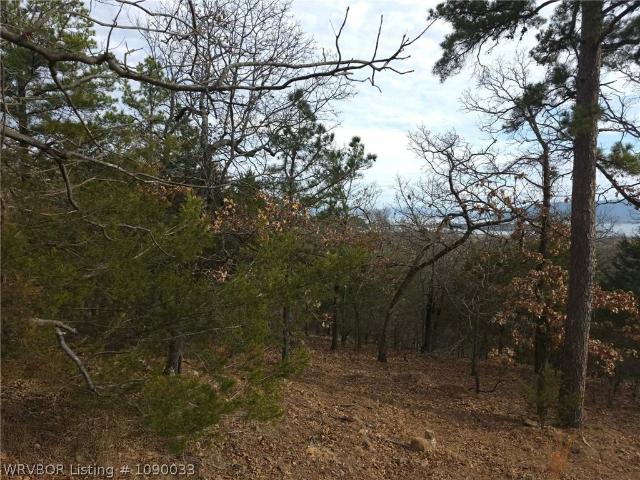 Tract 3 Wolf Mountain Road