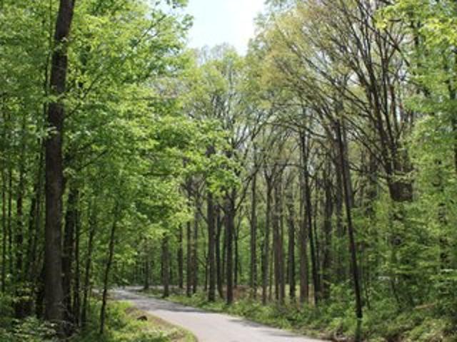 Tract 3 0 N County Road 555 E, Butlerville, IN 47265
