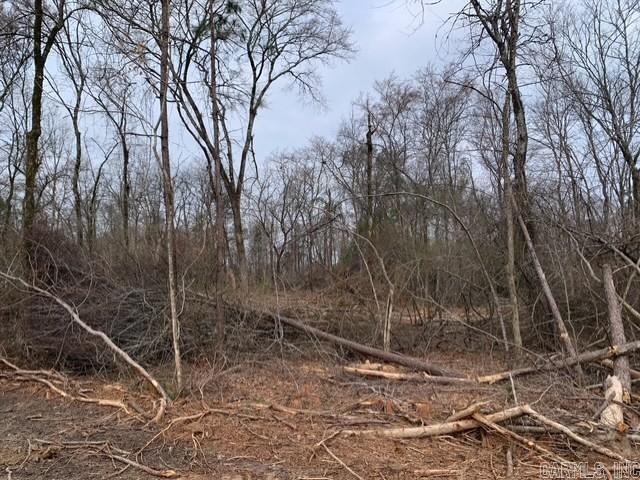 Tract 3 11395 Hwy 84