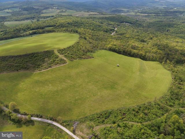 Tract 3: 48.25+/ ACRES Grandview Dr