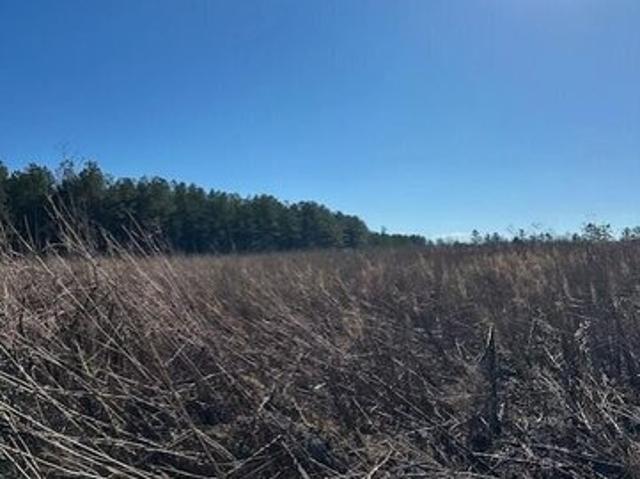 Tract 3 50th Ave, Gruetli Laager, TN 37339