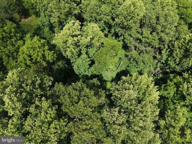 TRACT 3:52+/ ACRES AT 10 Oak Ridge Trail