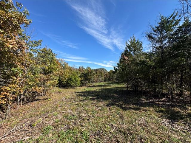 Tract 3a & 2a Downing Road