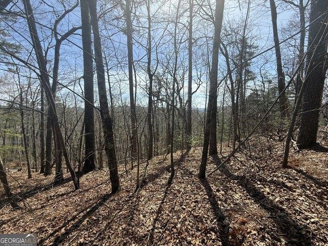 Tract 3A Big View Ln, Clayton, GA 30525