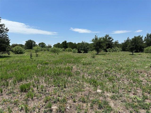 Tract 3D Highway 95, Smithville, TX 78957