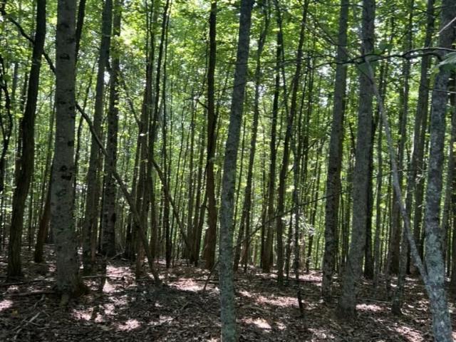 TRACT A Oak Ledge Road