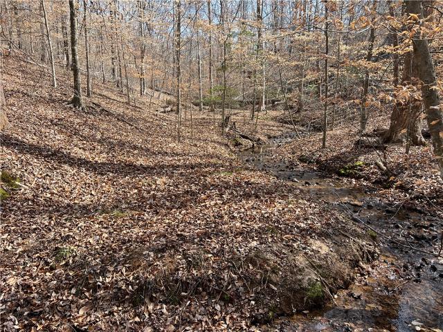 Tract A Cann Road