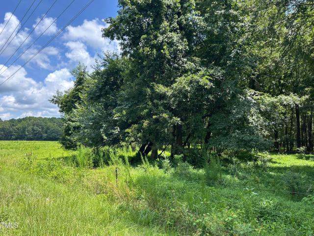 Tract A Frazier Road, Spring Hope, US, NC