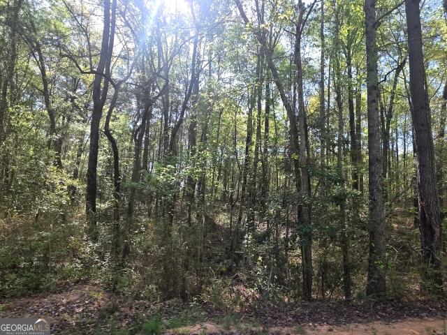 Tract a ga highway 102