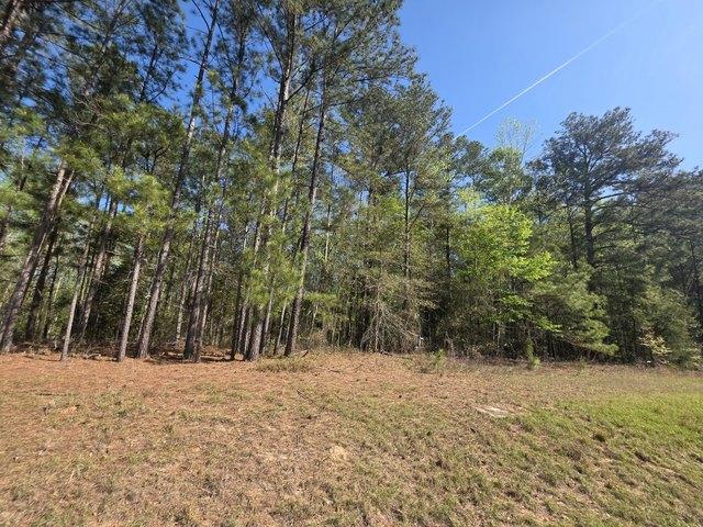Tract A Ga 102, Gibson, GA 30810