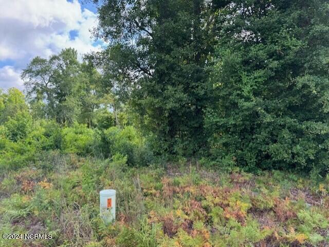 Tract a Leland School Rd NE, Leland, NC 28451 | MLS #100569