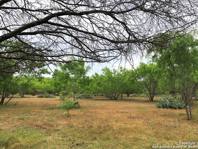 Tract a S Loop 1604 E, San Antonio, TX 78264 | MLS #1856