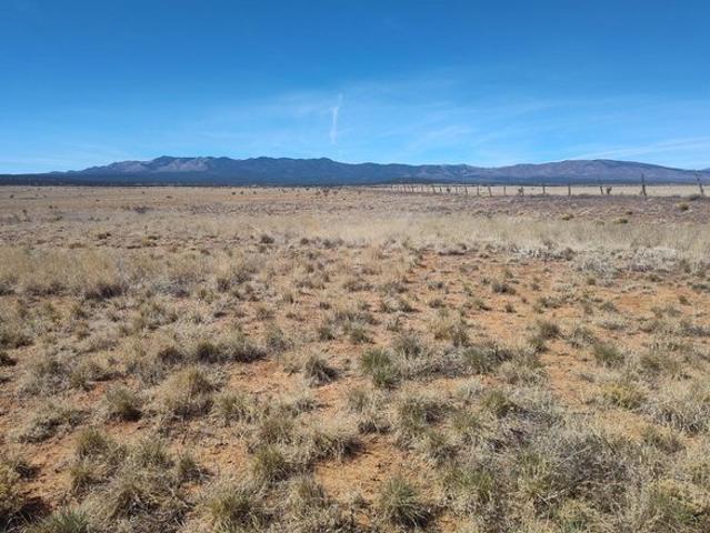 Tract A Spencer Ranch Rd, Mountainair, NM 87036
