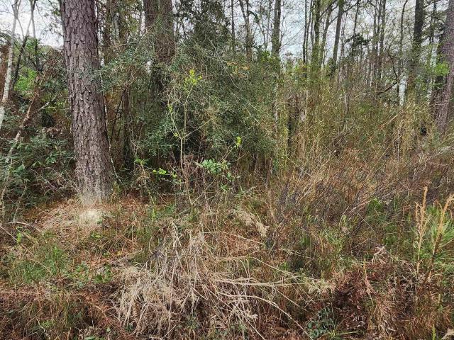 Tract a 6 Reinninger Rd, Denham Springs, LA 70706 | MLS #BR2026004 | Compass