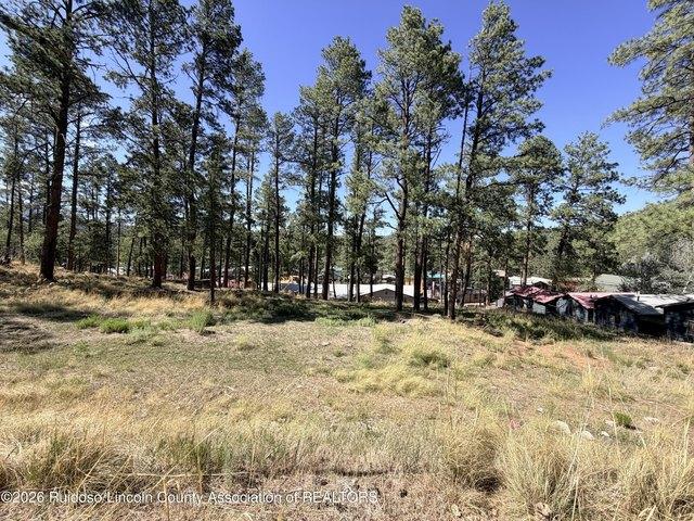 Tract B1 Wingfield St Lot 0, Ruidoso, NM 88345