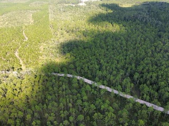 Tract B Bergman Rd, Naylor, GA 31641