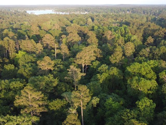 Tract B Lake Road