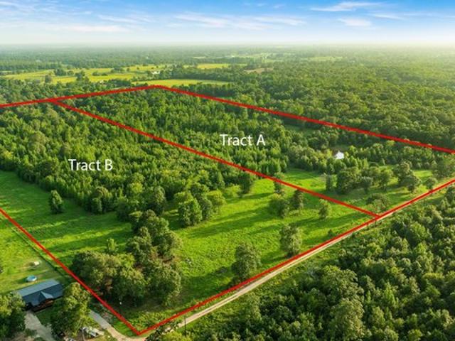 Tract B Pr # 43299, Powderly, TX 74743