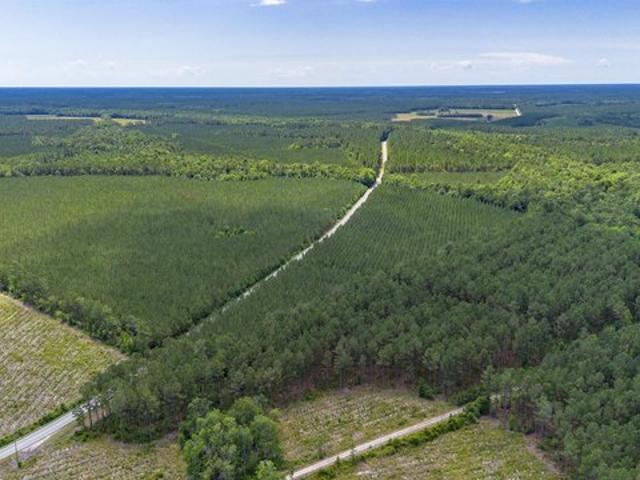 Tract B Ten Acre Rd, Andrews, SC 29510