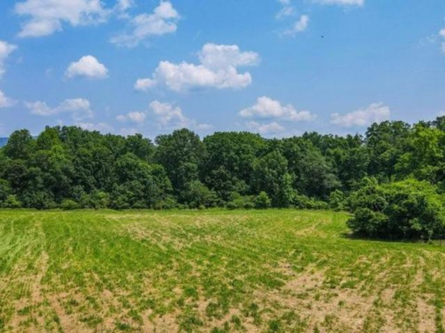 Tract Bishop Rd # 2, Benton, TN 37307