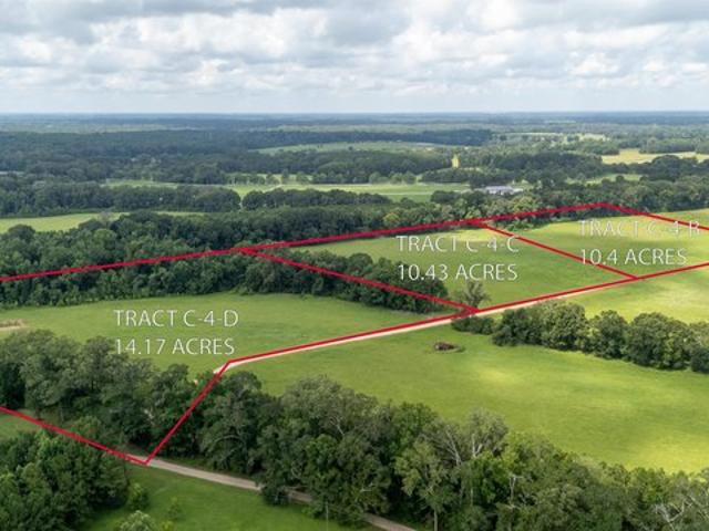 Tract C B Blatt Ln, Ethel, LA 70730
