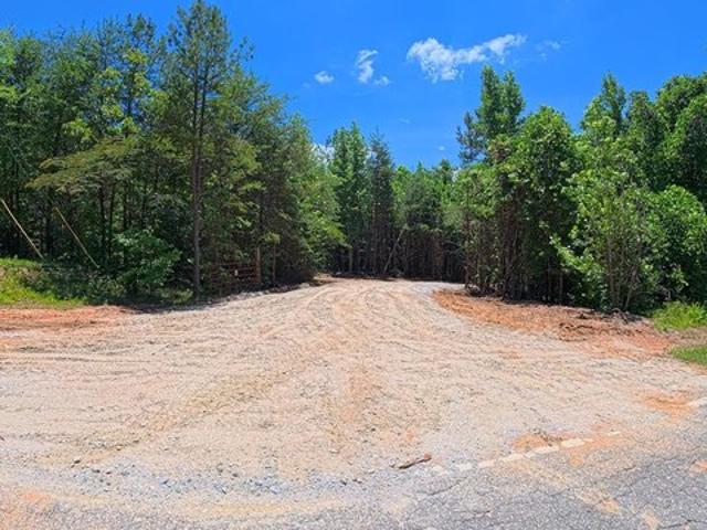 Tract C & D Riddle Rd, Pauline, SC 29374