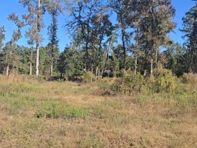 Tract C 3 Gaff Rd, Magnolia, TX 77355
