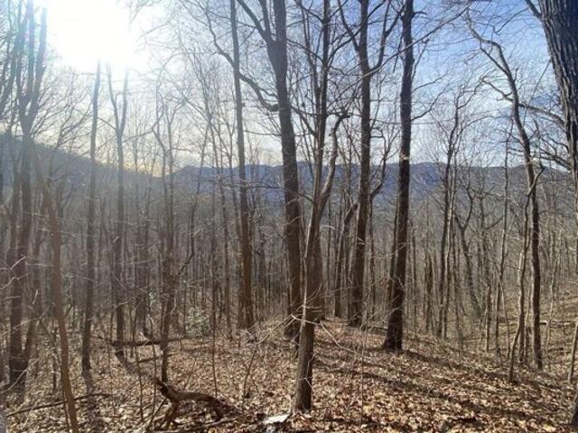 Tract Caeser Gap Rd, Hiawassee, Plot For Sale