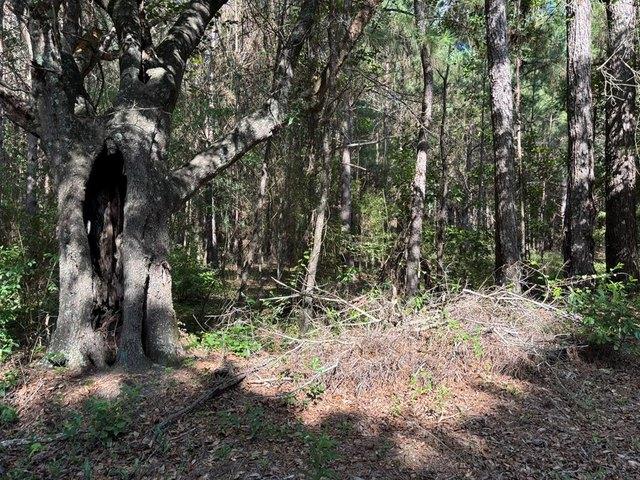 Tract Convick Cir # 2, Pavo, GA 31778