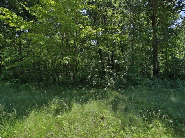 Tract D Olander Road