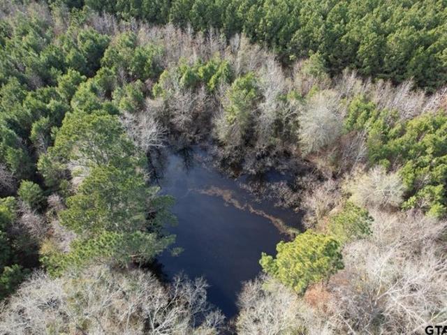 Tract D County Road 4037, Timpson, TX 75975