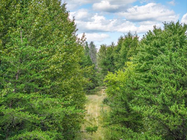Tract D Highway 21
