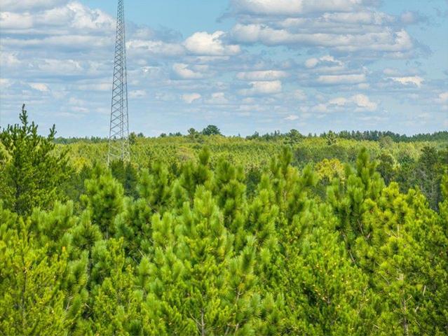 Tract D Highway 21, Babbitt, MN 55706