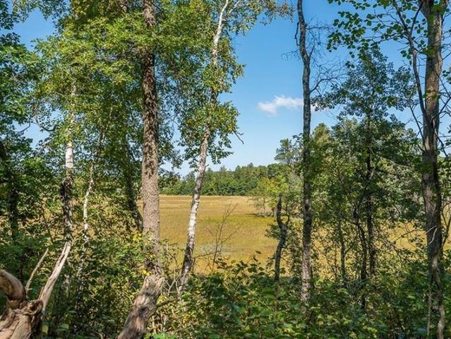 Tract D Tbd Little Pine Rd, Brainerd, MN 56401