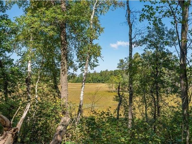 Tract D Tbd Little Pine Rd, Brainerd, MN 56401