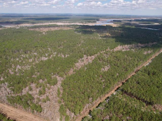 Tract D TBD Pennyroyal Rd