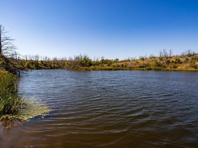 Tract E County Road 370 # 7, Mooreland, OK 73852